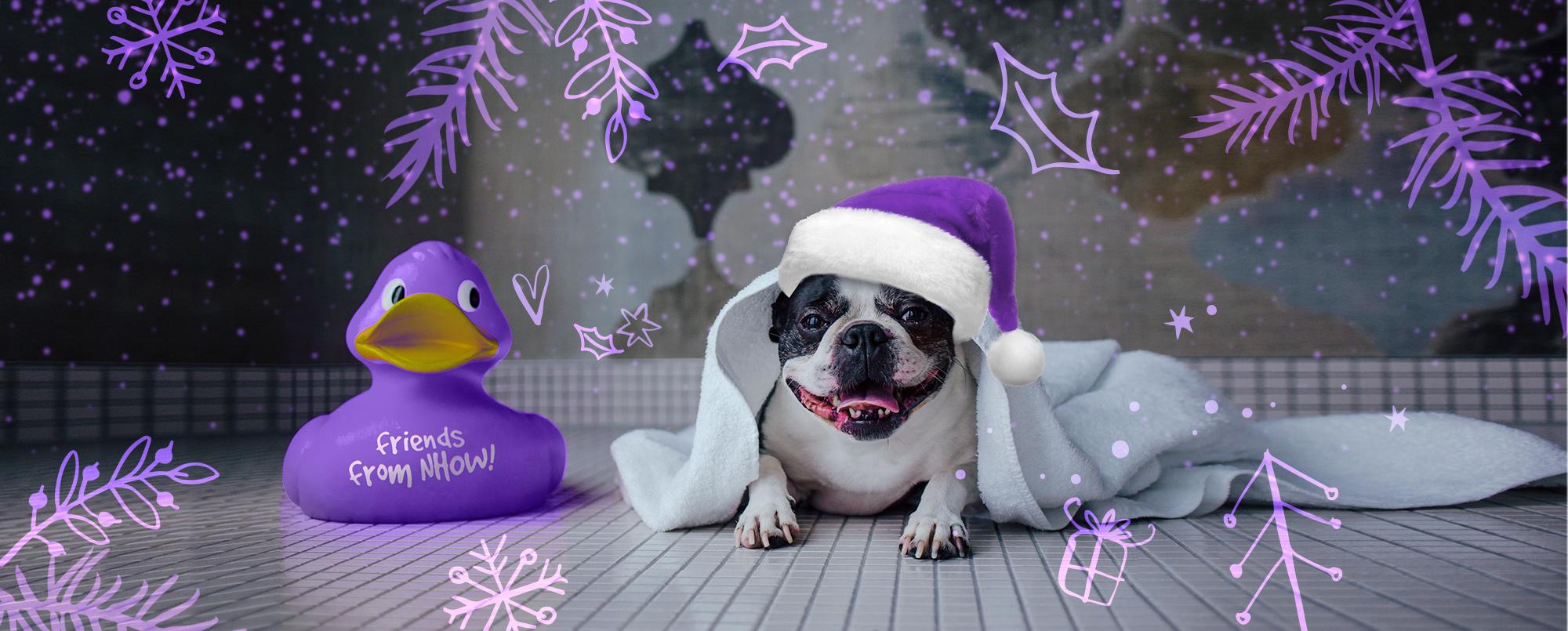 nhow Hotels | Elevate your stay in a modern design hotel